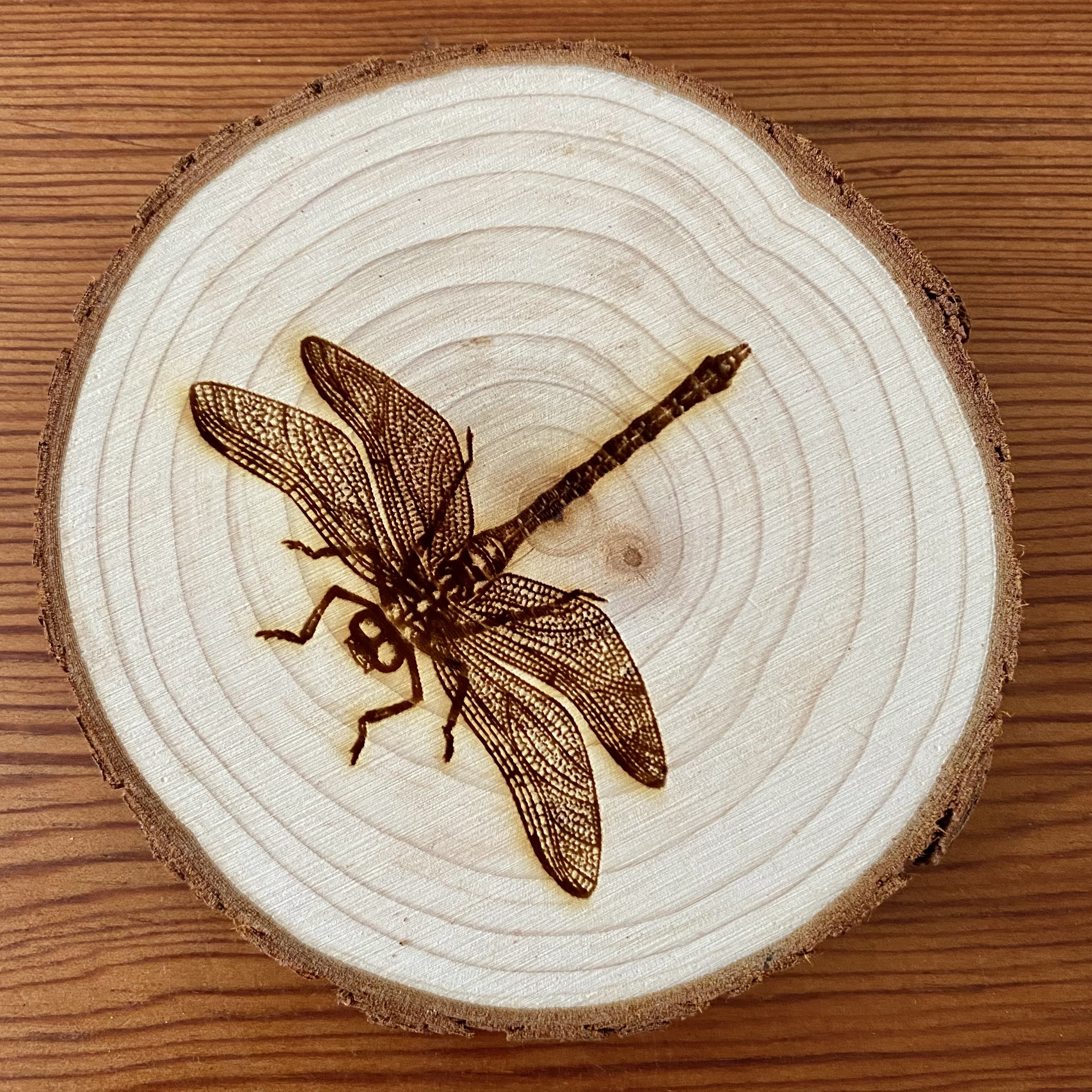 Dragonfly Engraved Wood Coaster Set Perfect Gift for | Etsy