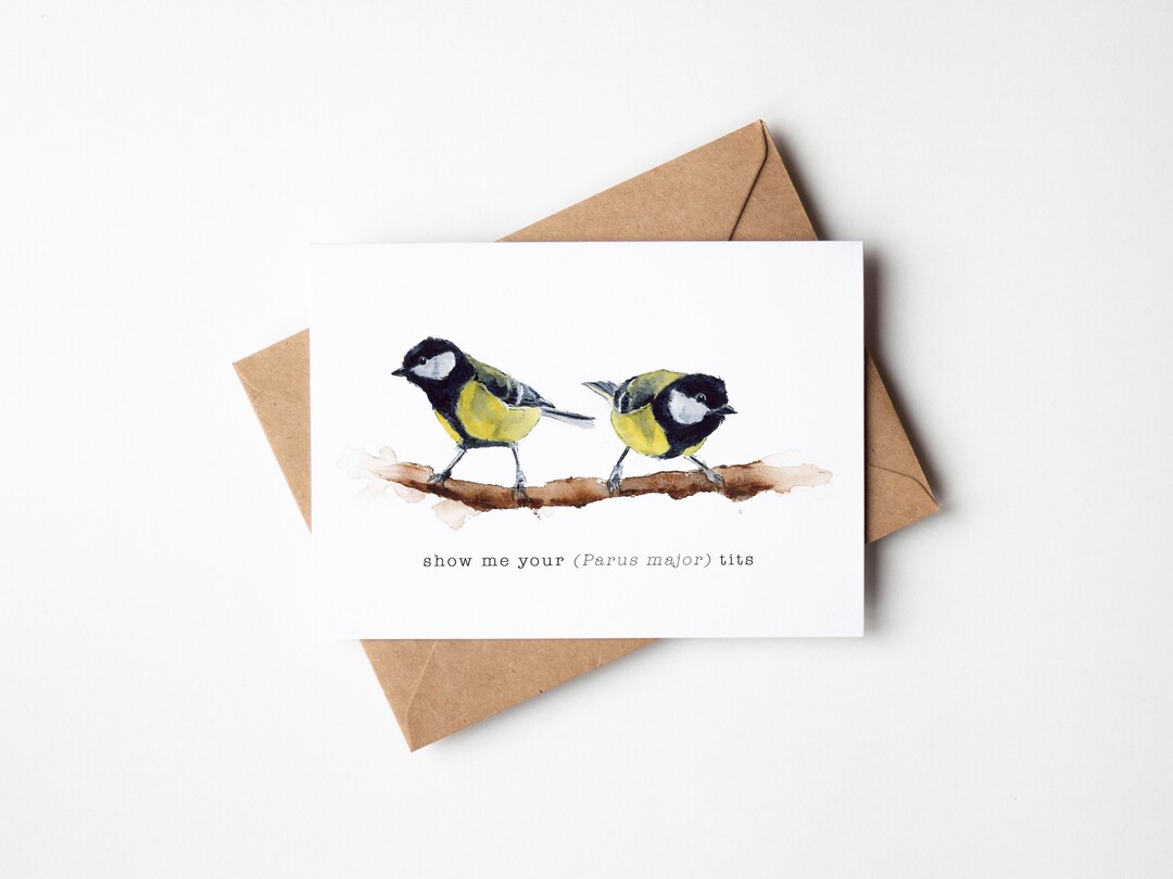 Funny Greeting Cards | Songbird Greeting Cards | Watercolor Greeting ...