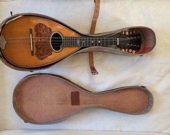 Mandolin Case - Etsy