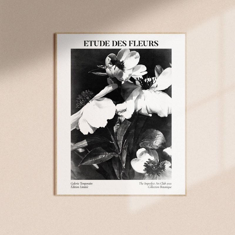 Flower Photography - Etsy