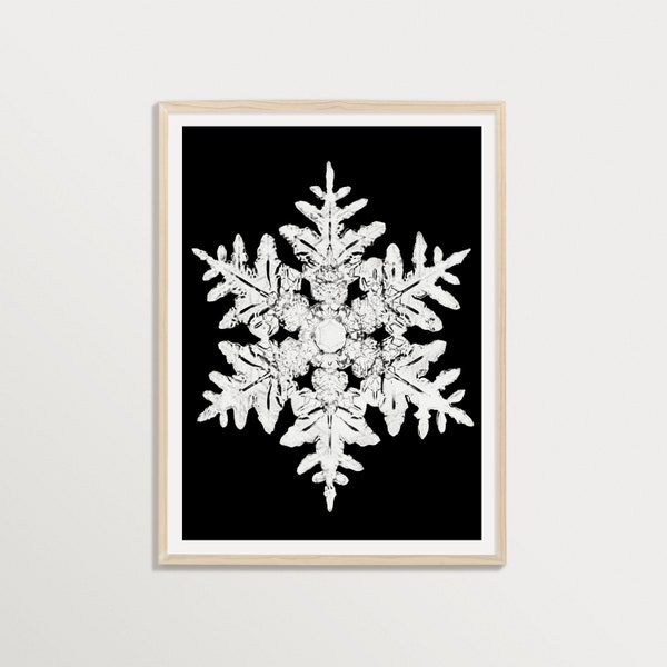 Snowflake Wall Art - Etsy
