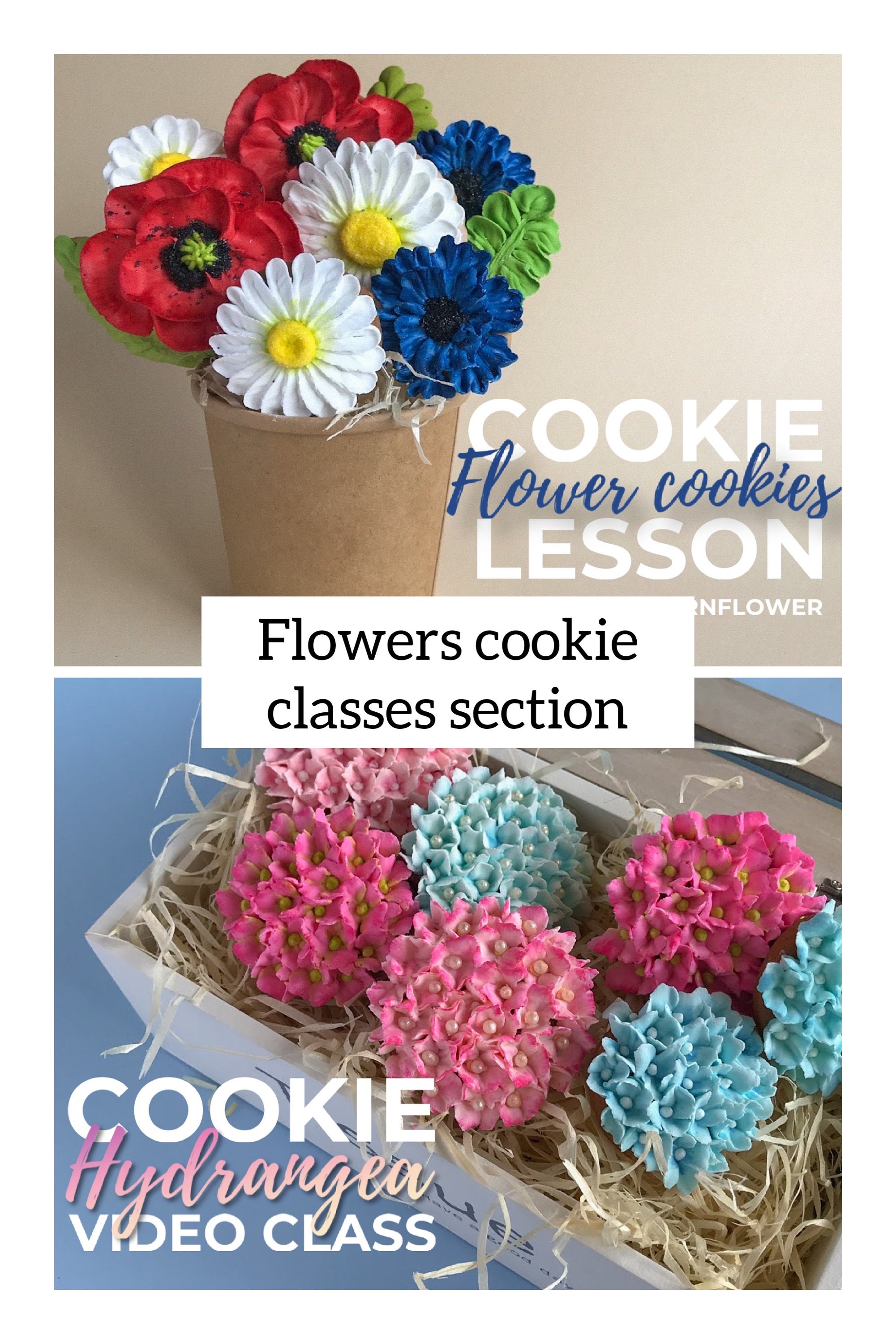 Royal Icing Flower Class: POPPY Cookie + Royal Icing Recipe, Memorial ...