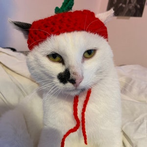 Apple Crochet Hat for Cat or Small Dog (cat Accessories, Small Animal ...