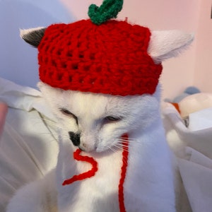 Apple Crochet Hat for Cat or Small Dog (cat Accessories, Small Animal ...