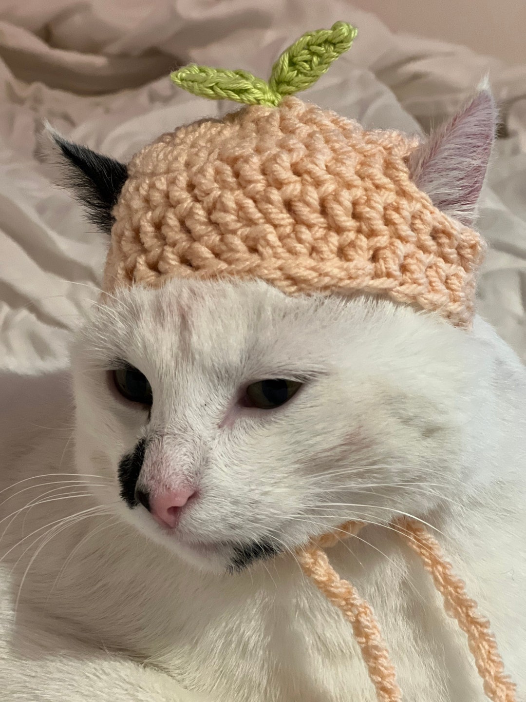 Peach Crochet Hat for Cat or Small Dog (cat Accessories, Small Animal ...