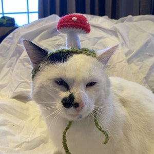 Mushroom Crochet Hat for Cat or Small Dog (cat Accessories, Small ...