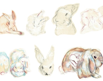 Rabbit Planner Stickers Cute Bunny Stickers - Etsy