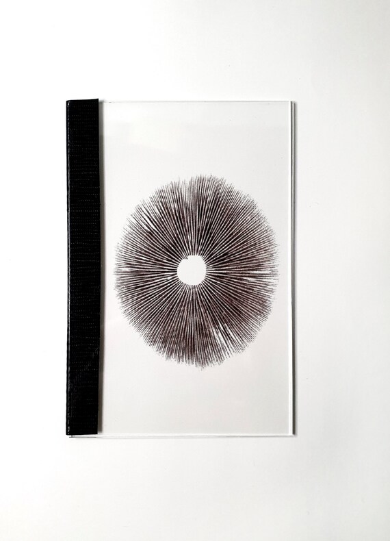 Glass Spore Print Slides Booklet 12.8cm X 8.5cm X 1mm for | Etsy