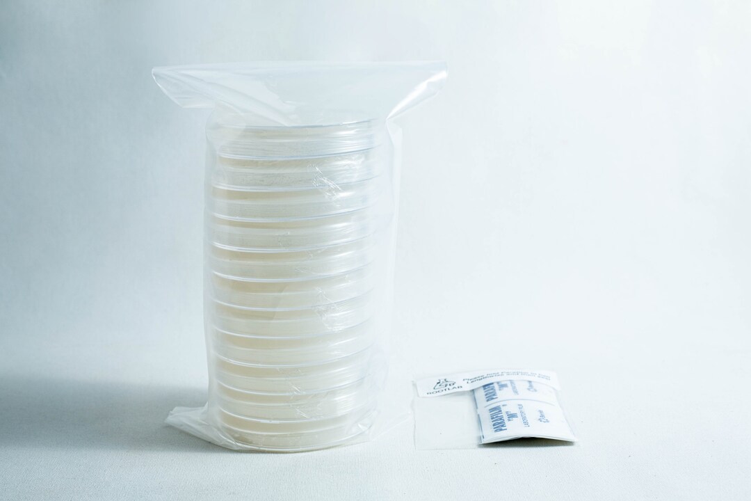 Sterile Water Agar WA Plates Petri Dishes X10 With Parafilm and ...