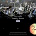 DIY Premium Diamond Jewelry Theme Custom Shopify Website Template ...