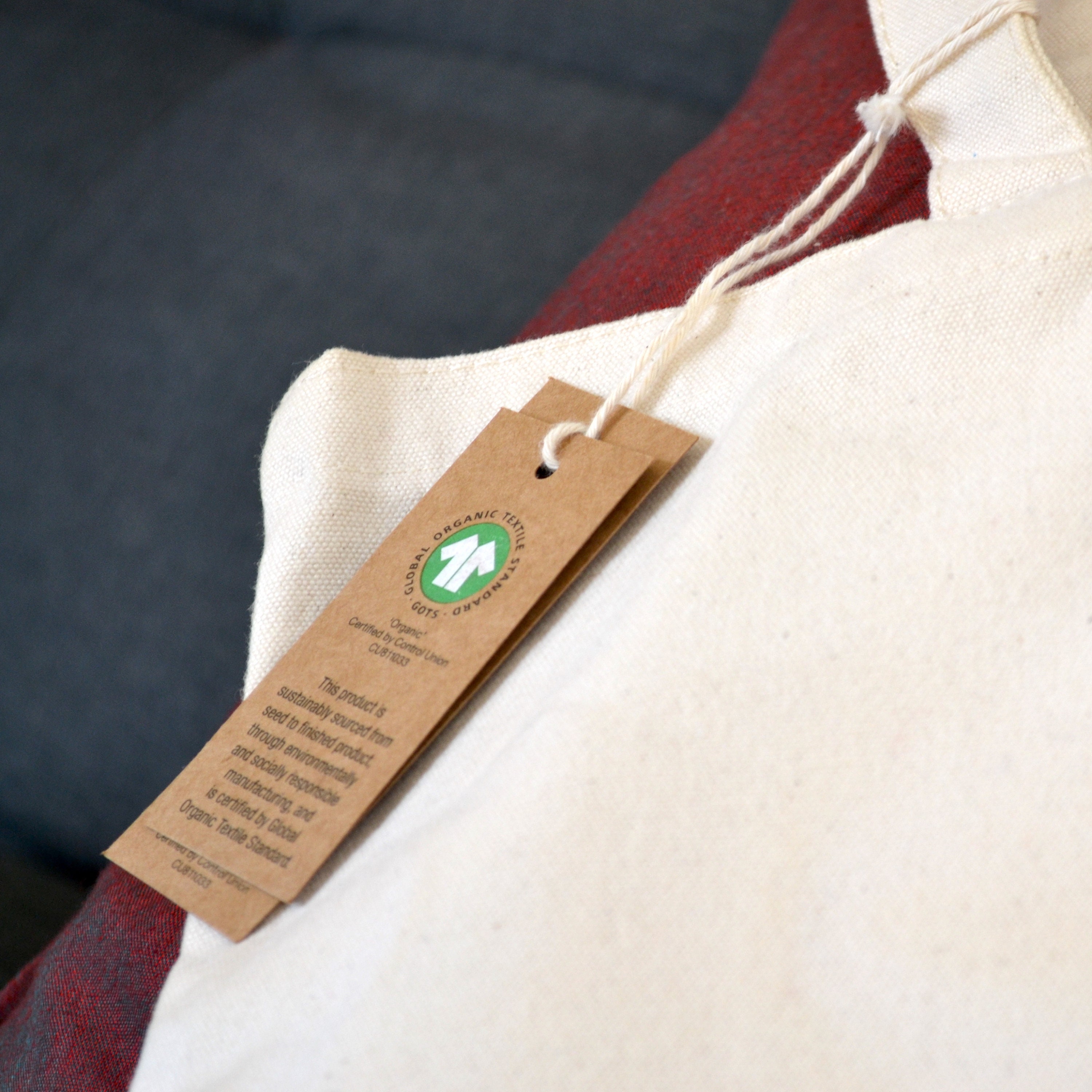 Organic Canvas Tote Bag - Save the Earth - Reusable Eco Friendly ...