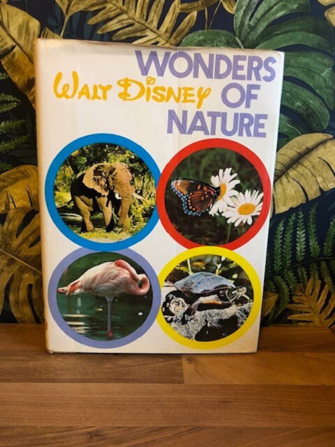 Vintage Walt Disney "wonders of Nature" Book - Etsy