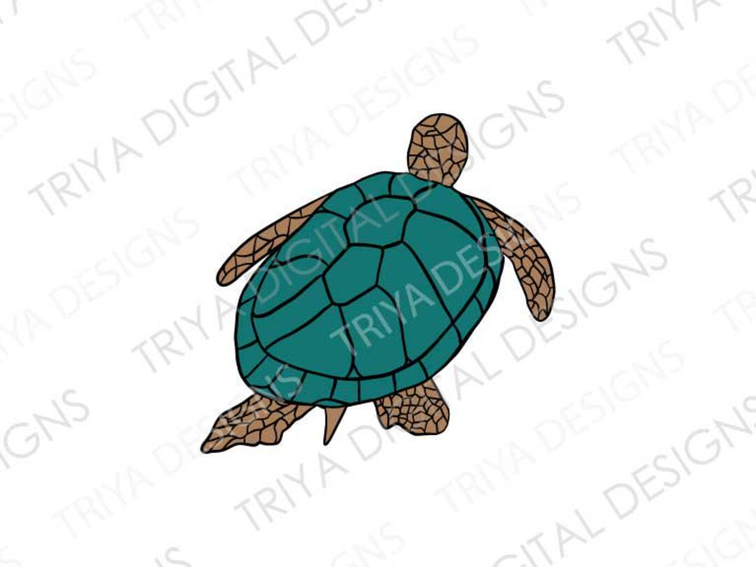 Sea Turtle SVG Cut File Cute Turtle Silhouette, Cricut File, Vector PNG ...