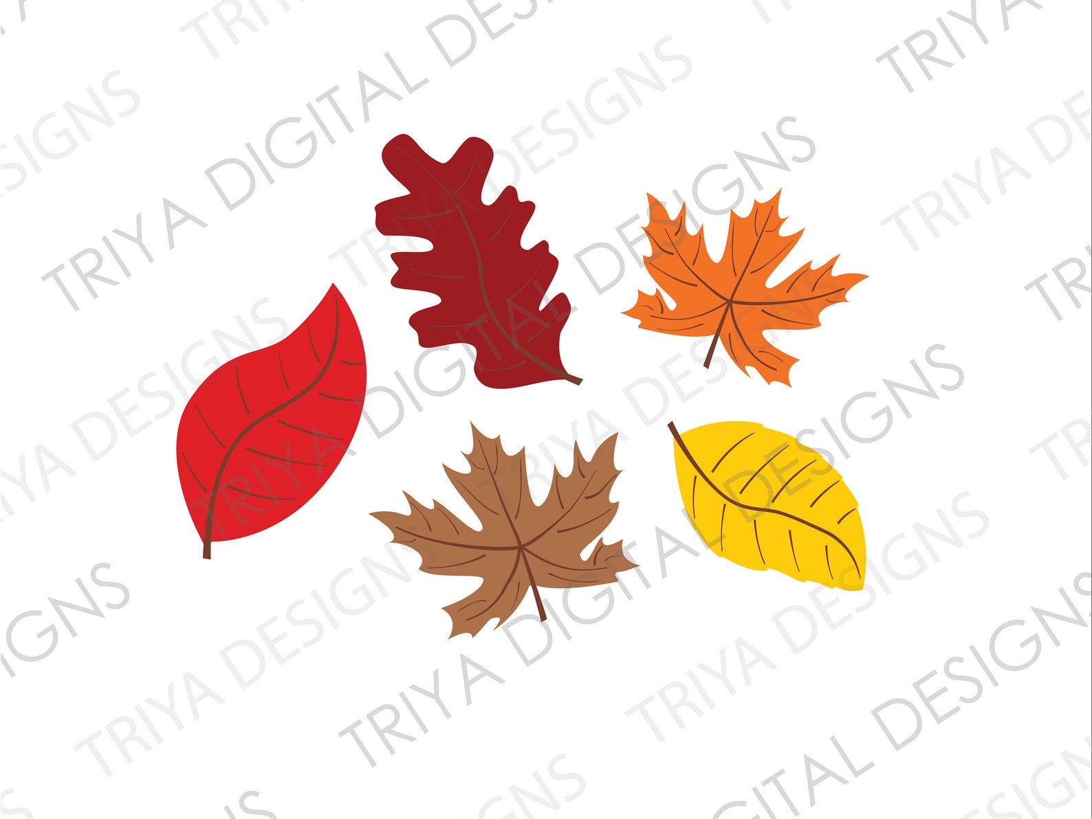 Fall Leaves SVG Autumn Colored Falling Leaves Fall Leaf - Etsy
