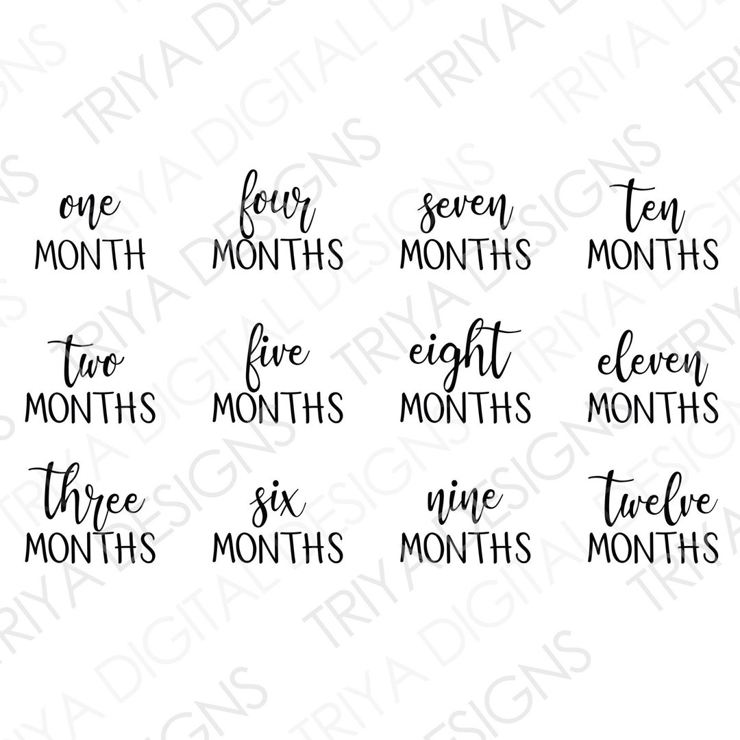 Baby Milestone Months | SVG Cut Files | Newborn, 3 Months, 6 Months, 9 ...