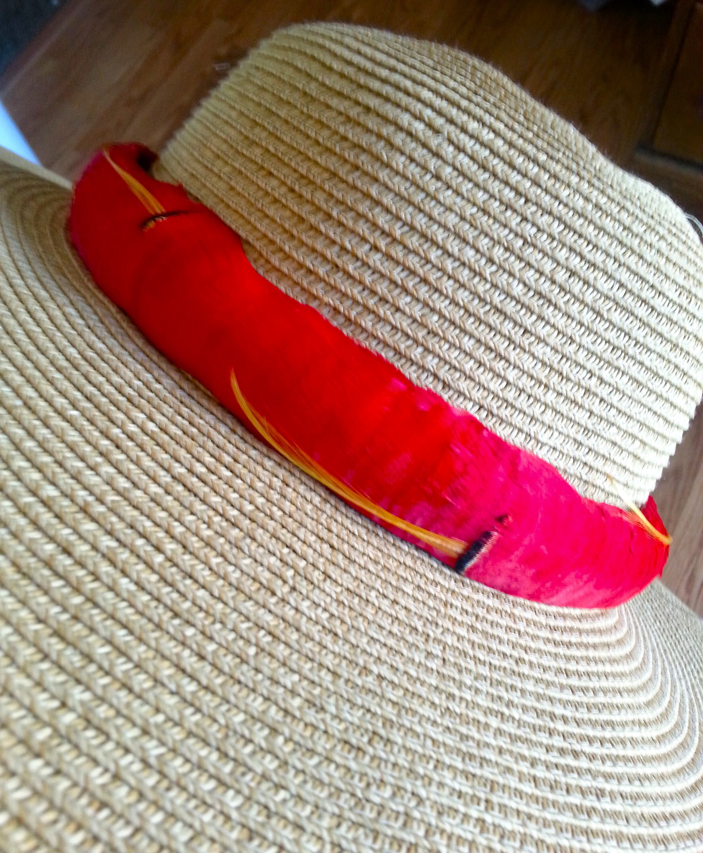 Red Goose Feather Hat Band With Orange and Gold Golden Pheasant Accent ...