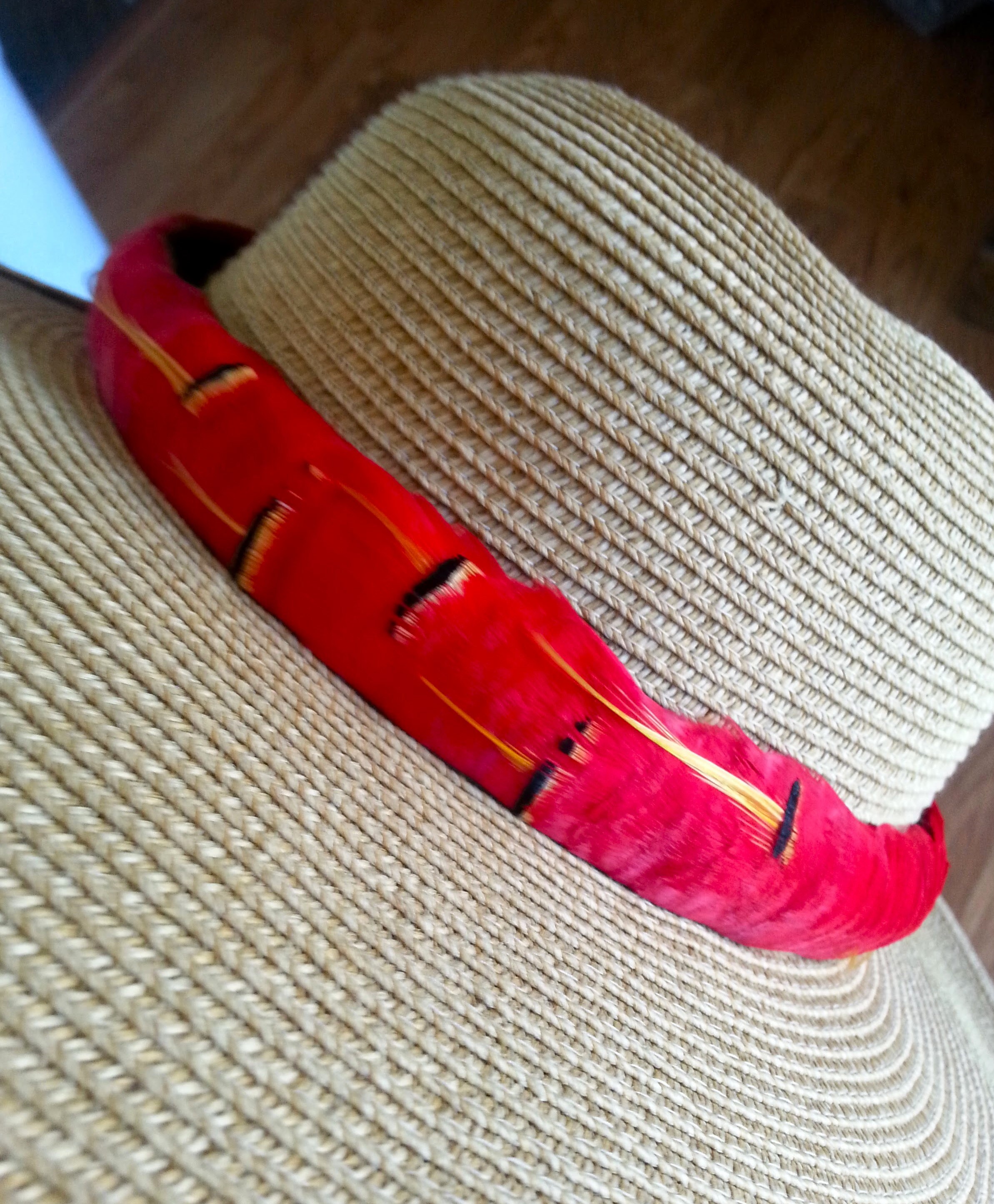 Red Goose Feather Hat Band With Orange and Gold Golden Pheasant Accent ...