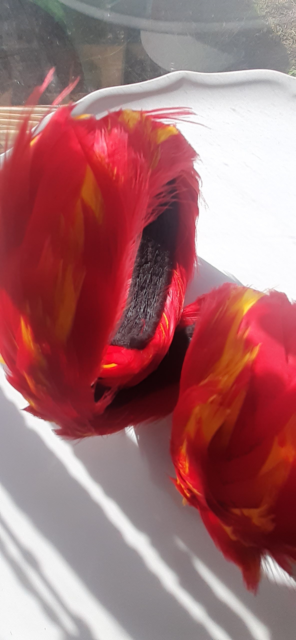 Red And Ilima Goose Feather 2nd Cut Hat Band Lei Poo Hatband