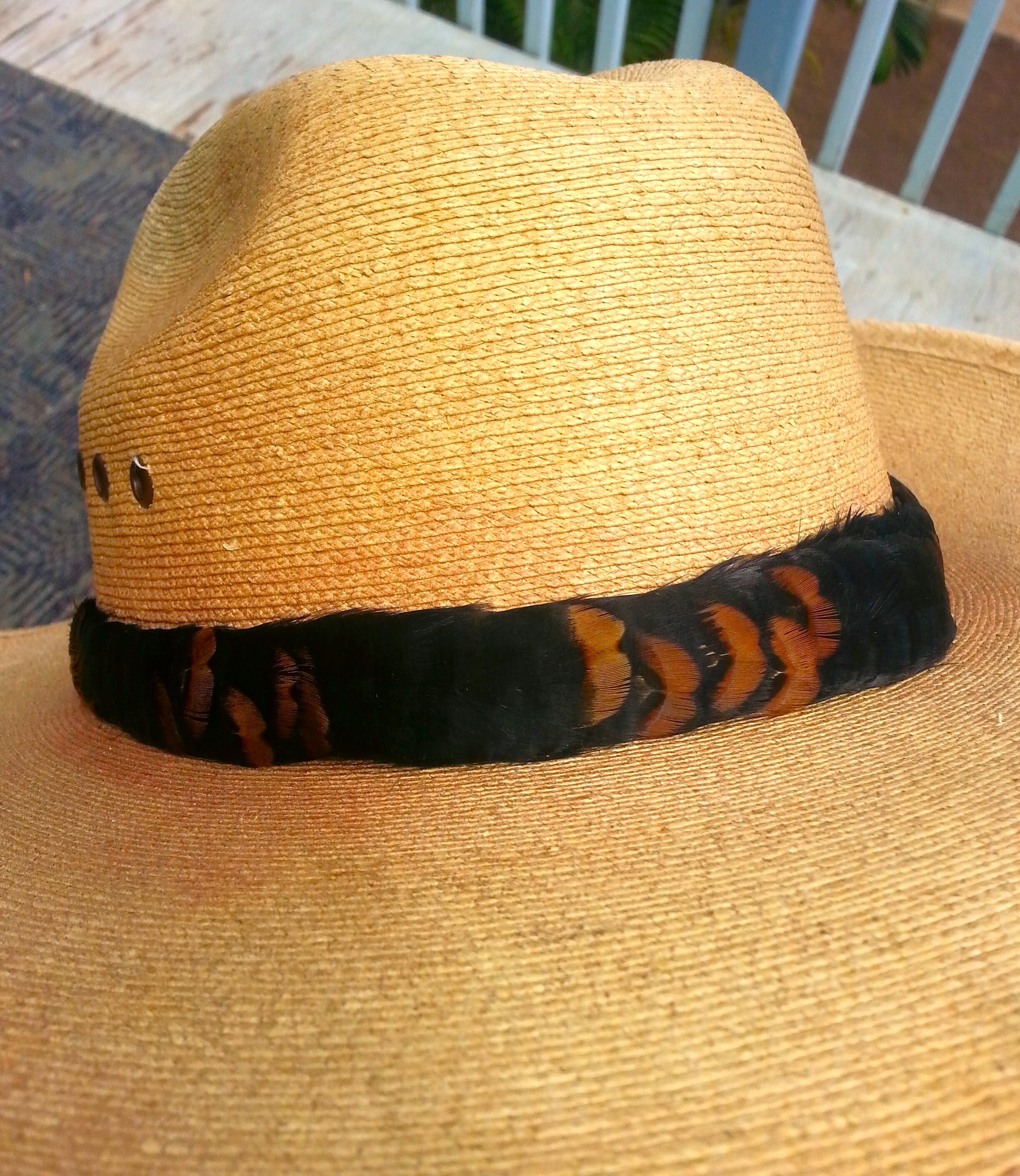 Black Goose Feather Hat Band With Ringneck Pheasant Accent, Hawaiian ...