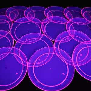 Directglow Neon Blacklight Reactive Hard Plastic 6 Inch Pink Party ...