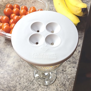 Fly Funnel | Fruit Fly Trap - Etsy
