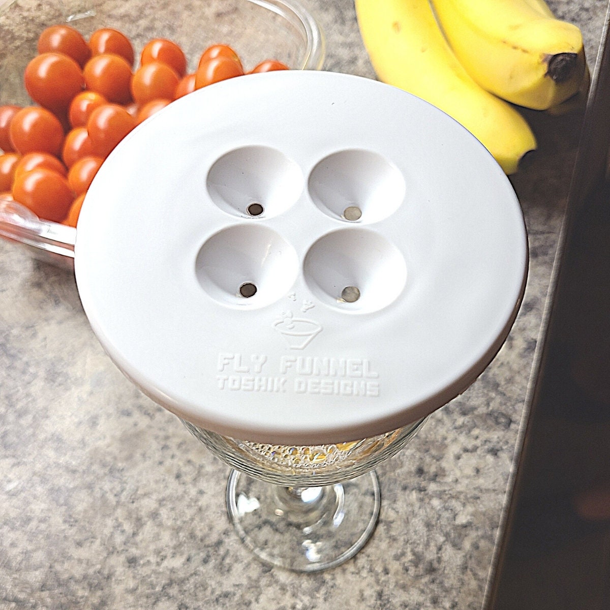 Fly Funnel | Fruit Fly Trap - Etsy