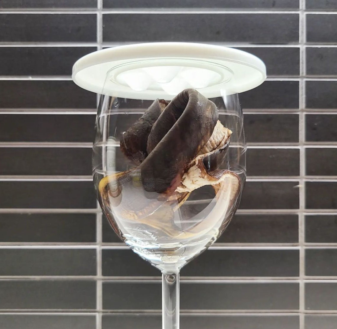 Fly Funnel | Fruit Fly Trap - Etsy