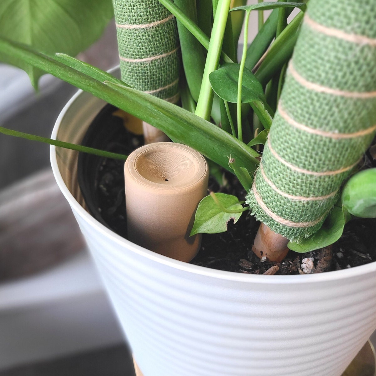 Fly Funnel Planter - Etsy