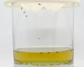 Small Fruit Fly Shaker Container With Funnel for Easy Feeding - Etsy