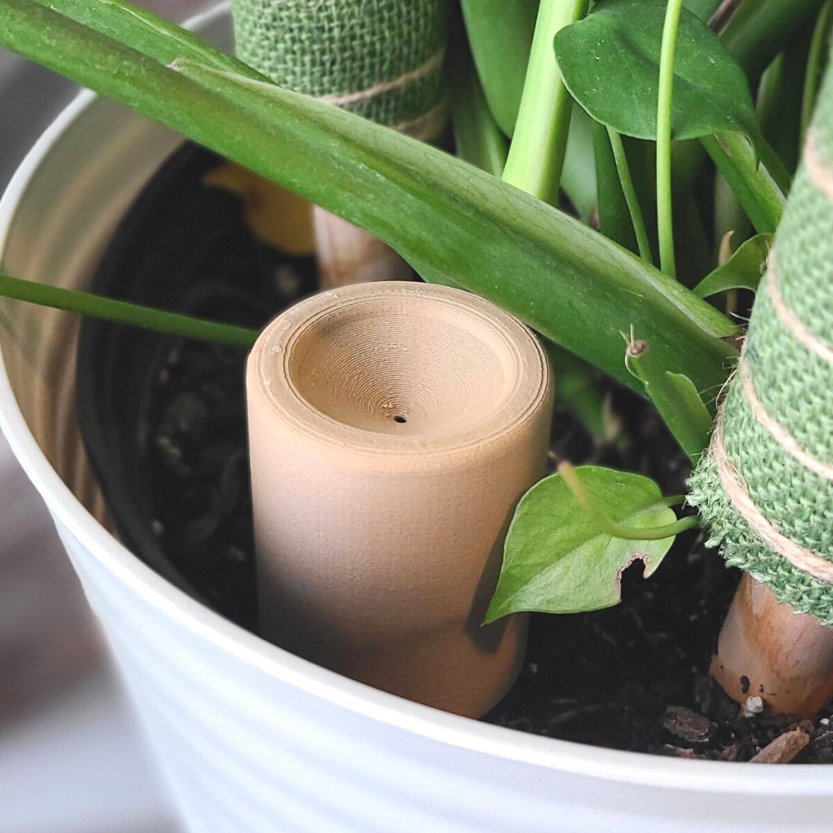Fly Funnel Planter - Etsy
