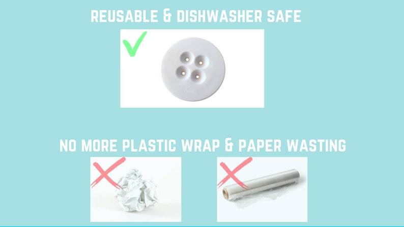 Fly Funnel | Fruit Fly Trap - Etsy