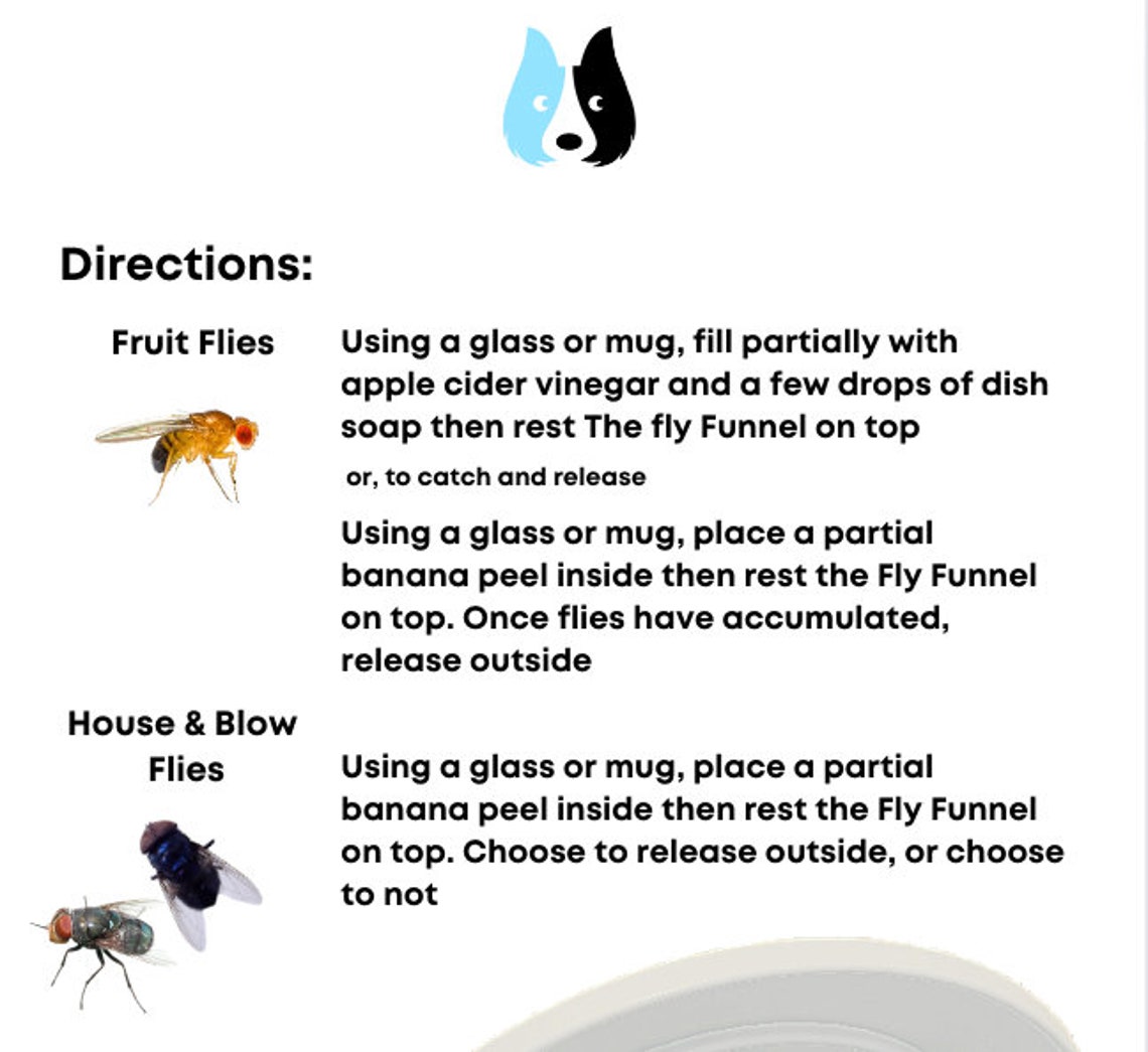 Fly Funnel | Fruit Fly Trap - Etsy