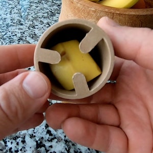 Fly Funnel Planter - Etsy