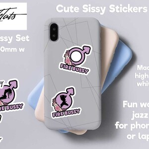 5 Sissy Stickers, Femboy, Sissy, Femboi, Feminized, Fire Bussy, Sissified, 5 Sets to Choose From ...