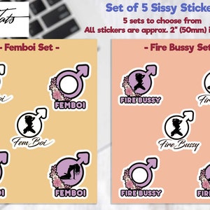 5 Sissy Stickers, Femboy, Sissy, Femboi, Feminized, Fire Bussy, Sissified, 5 Sets to Choose From ...