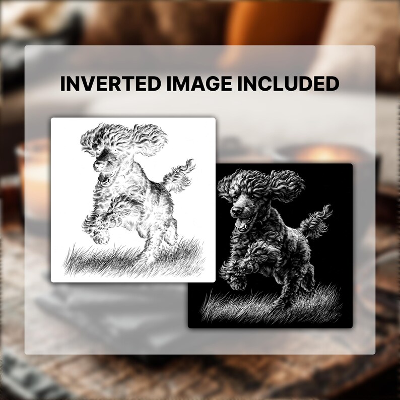Curly Poodle Laser Engraving PNG Bundle – 9 Elegant Poodle Designs for ...