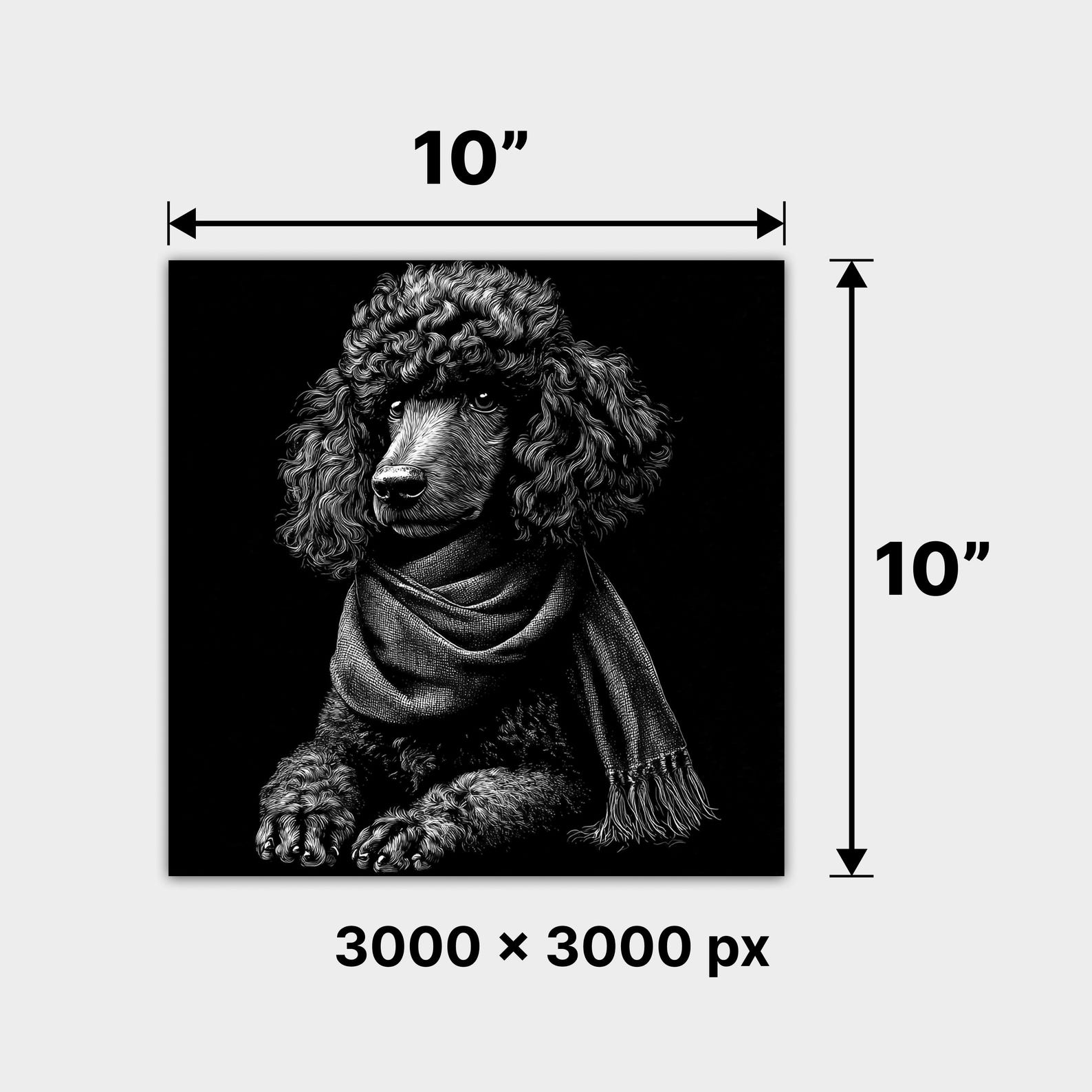 Curly Poodle Laser Engraving PNG Bundle – 9 Elegant Poodle Designs for ...
