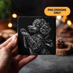Curly Poodle Laser Engraving PNG Bundle – 9 Elegant Poodle Designs for ...