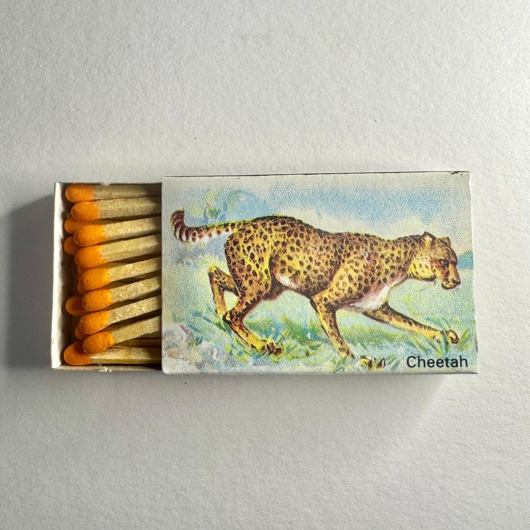 Wild Animals Cheetah / Rhino Vintage Matchbox - Etsy