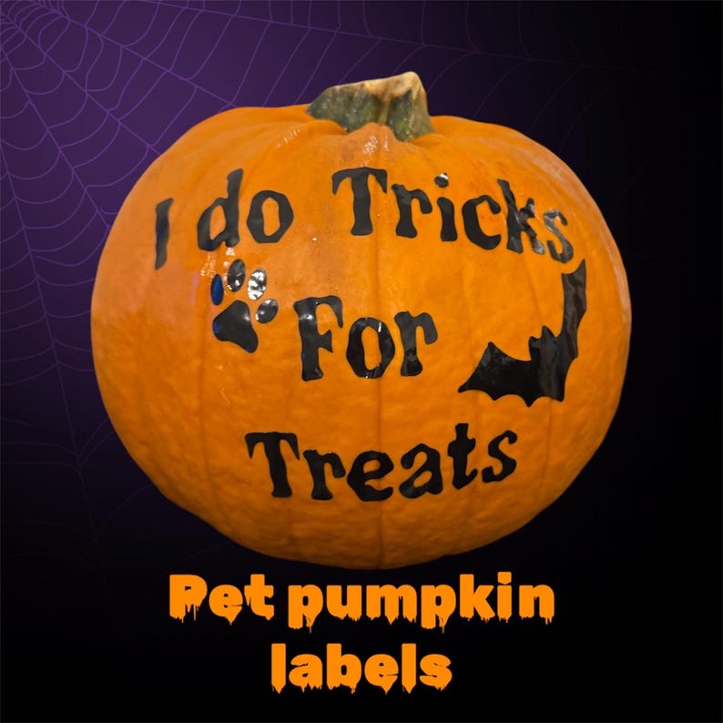 Dog / Cat Halloween Gift - Pumpkin Decal - Halloween Decal - Pumpkin ...