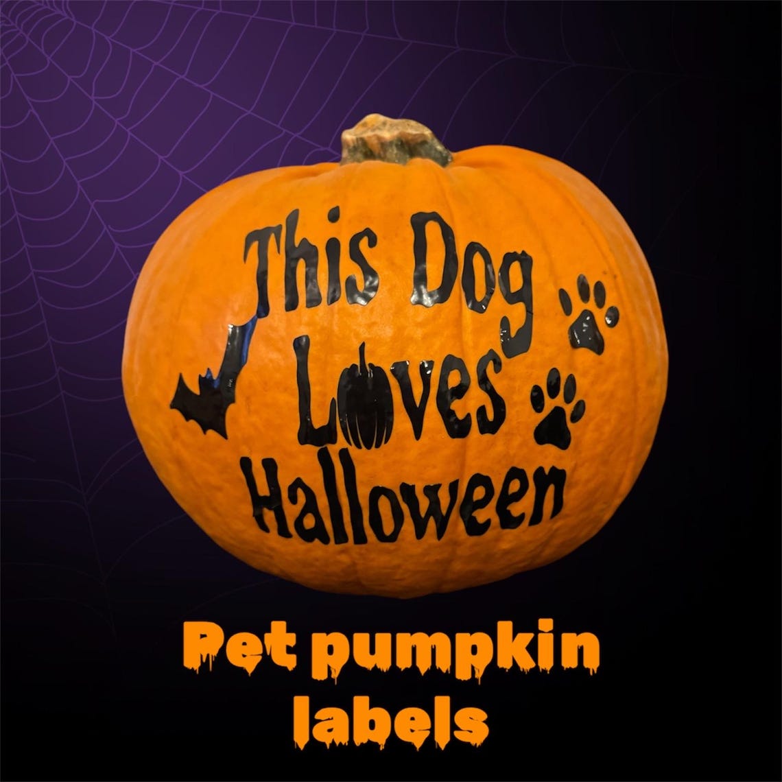 Dog / Cat Halloween Gift - Pumpkin Decal - Halloween Decal - Pumpkin ...