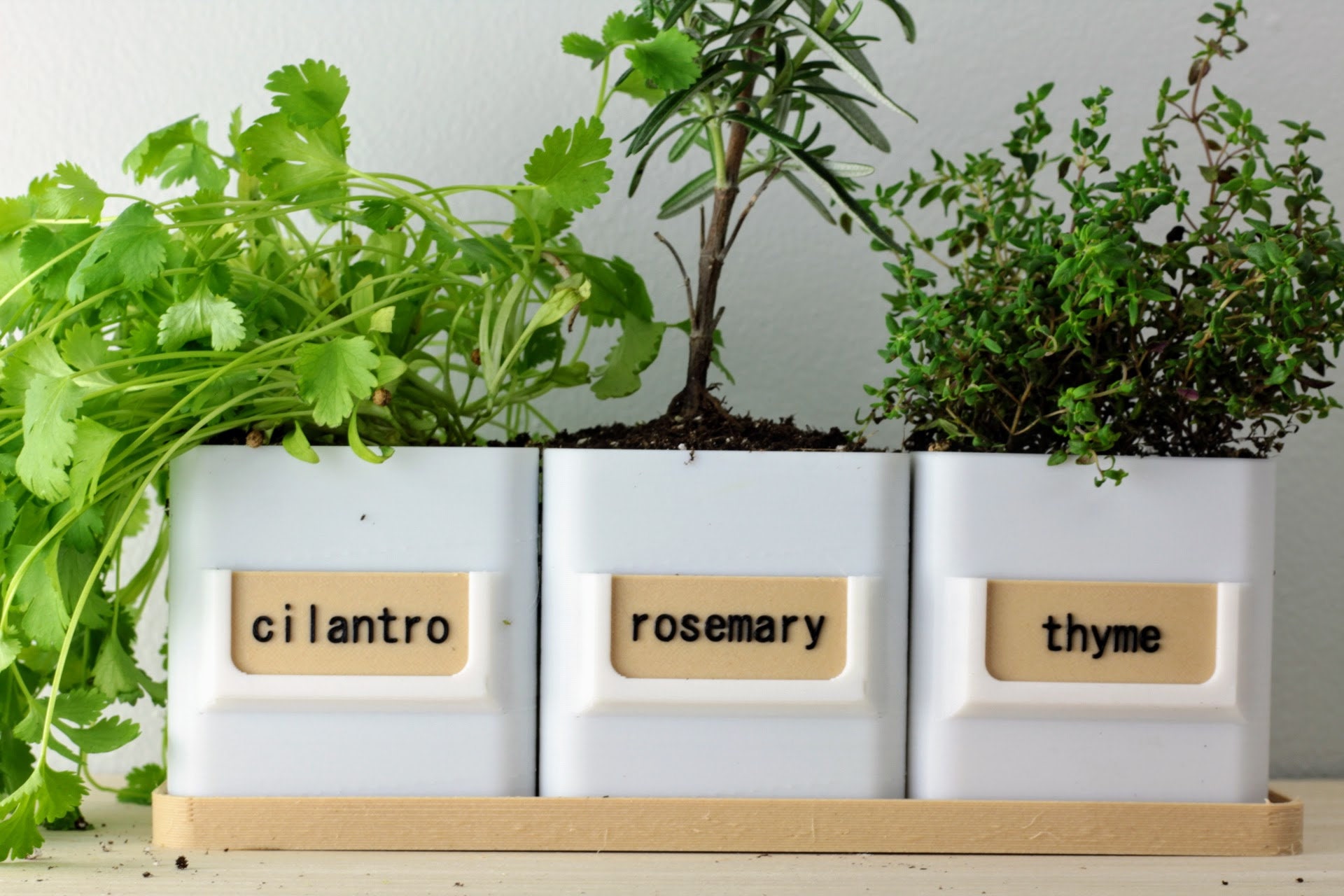 Herb Garden Window Sill Herb Garden Herb Planter Herb | Etsy