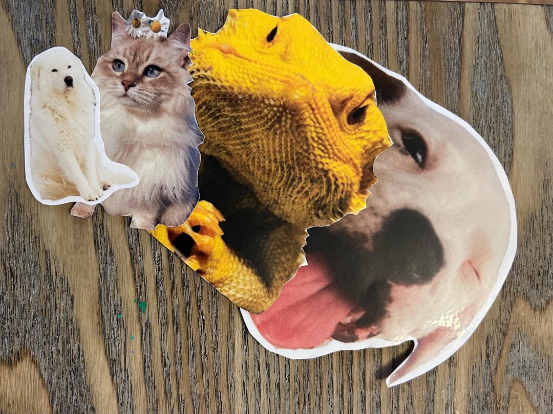 Custom Pet Stickers~turn Your Best Friend Into a Sticker~weatherproof ...