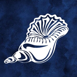 Magical Conch Sea-shell Vinyl Decal Holographic Window Sticker for Cars ...