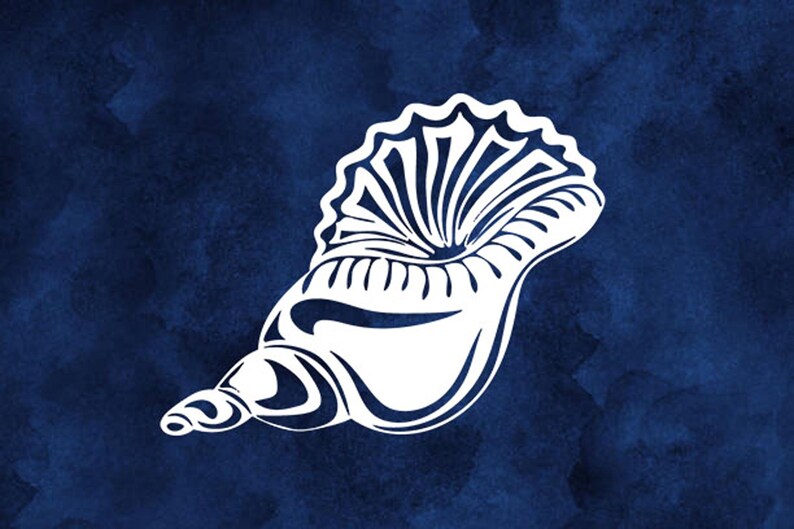 Magical Conch Sea-shell Vinyl Decal Holographic Window Sticker for Cars ...