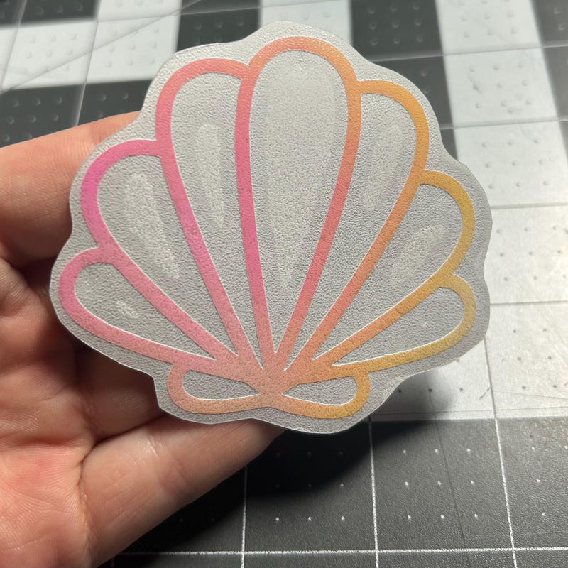 Scallop Wall Decal - Etsy