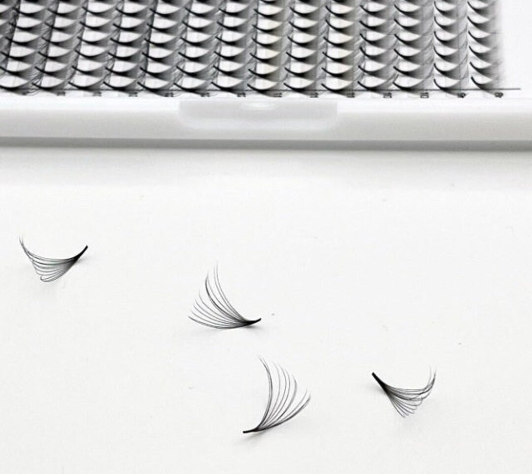 Premade Eyelash Extension Fans MIX Sizes - 12D 0.07 Curl C 360 Piece - Etsy