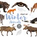 Winter Animals of the Forest Clipart Set, Cute Animal Digital Images ...