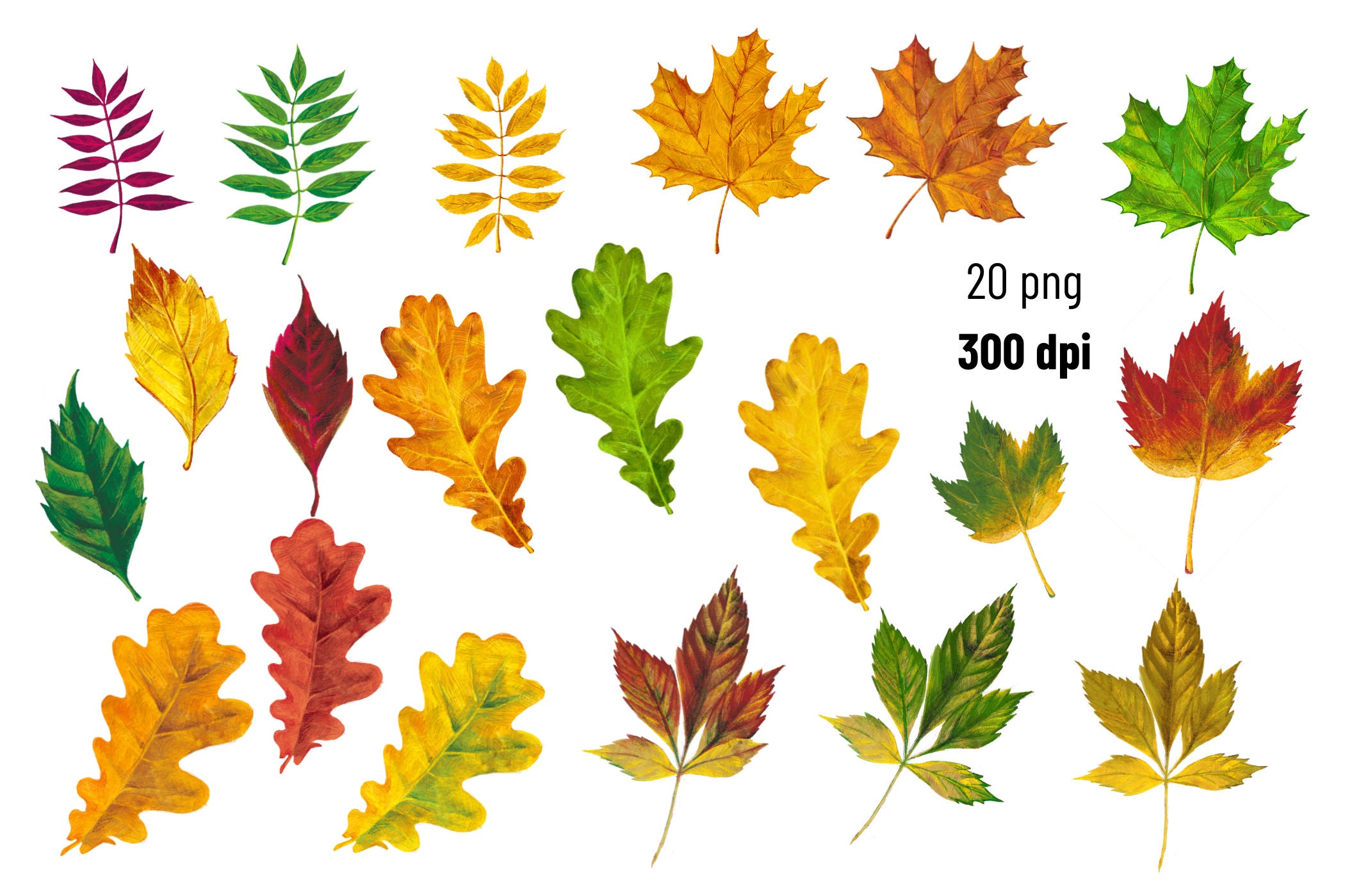 Fall Leaves Clipart, Autumn Leaves Clipart, Autumn Decor, Woodland ...