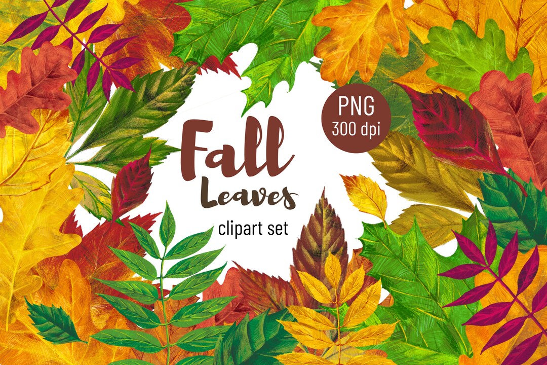 Fall Leaves Clipart, Autumn Leaves Clipart, Autumn Decor, Woodland ...